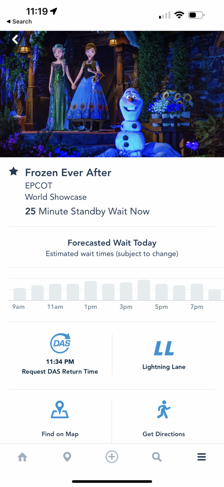 My Experience Using Disability Access Service (DAS) at Disney World