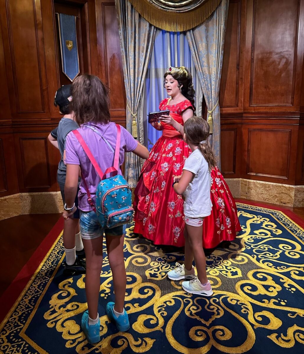 My Experience Using Disability Access Service (DAS) at Disney World