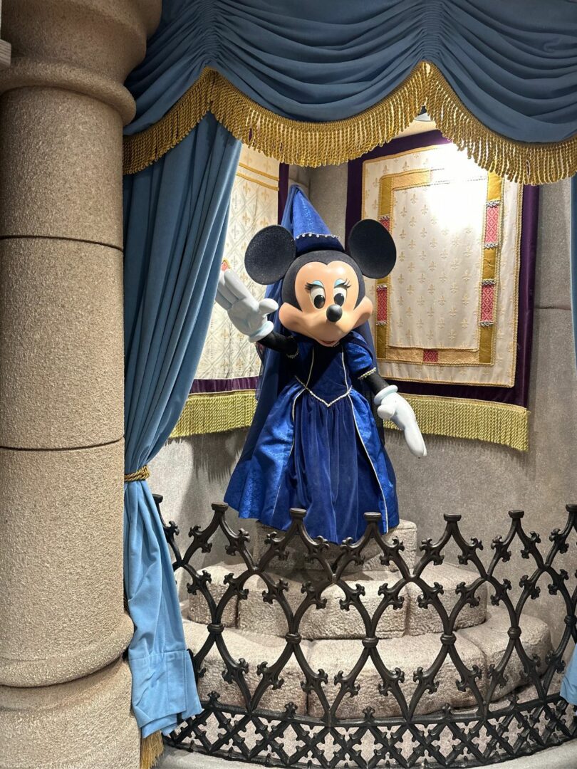 My Experience Using Disability Access Service (DAS) at Disney World